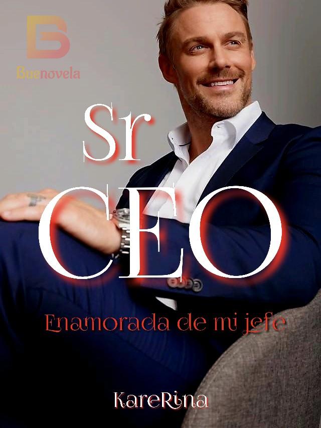 Sr CEO "Enamorada de mi jefe" PDF y novela en línea por Karerina para leer gratis - Romántica ...